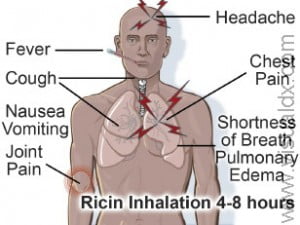 The Negative Effects of Ricin on Human Body