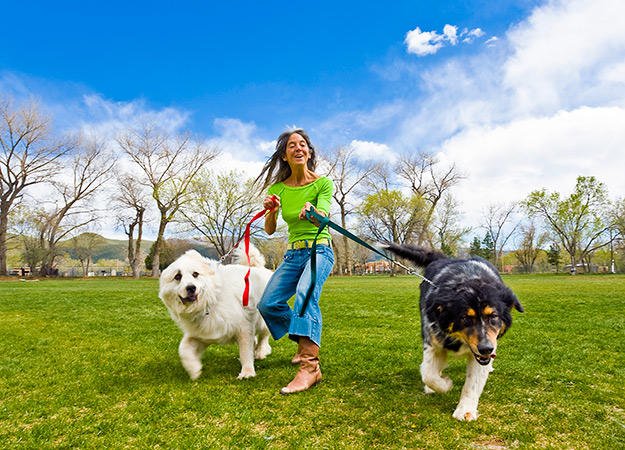 Mutt Moves: Dog Exercise for Busy Lifestyles